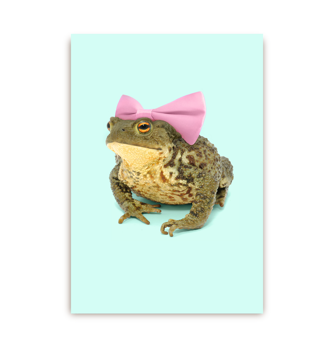 Toad with Bow Postcard
